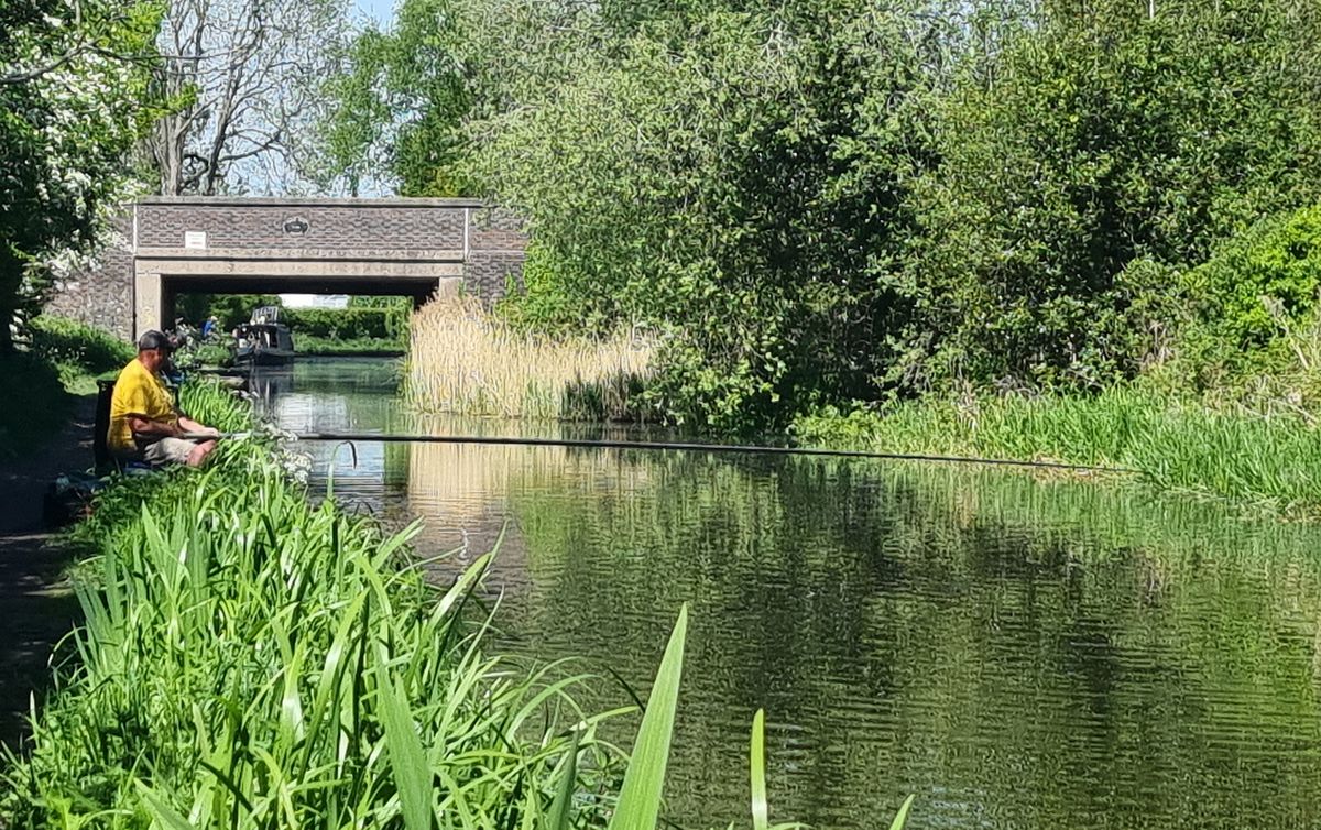 Angling match results | Canal & River Trust