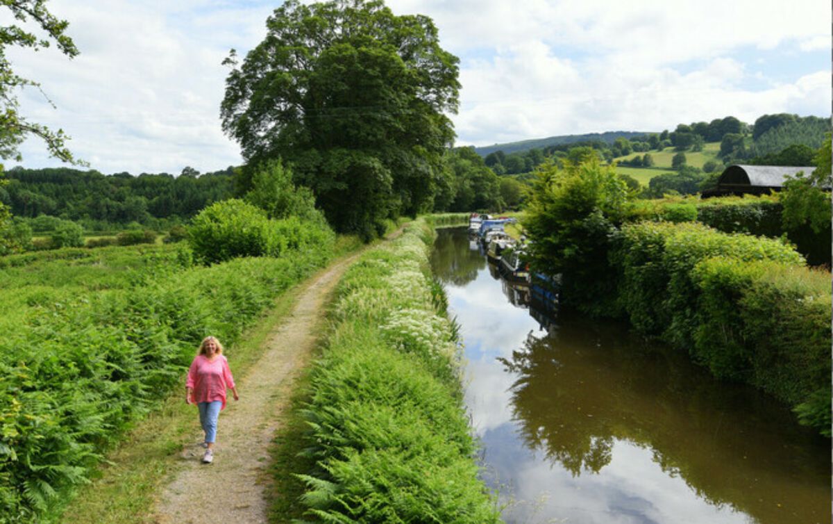Types of walks near me | Canal & River Trust