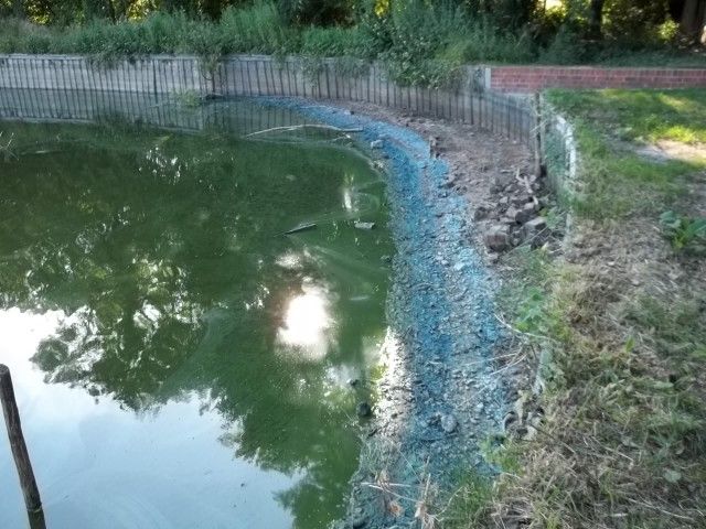 Blue green algae – what you need to know | Canal & River Trust