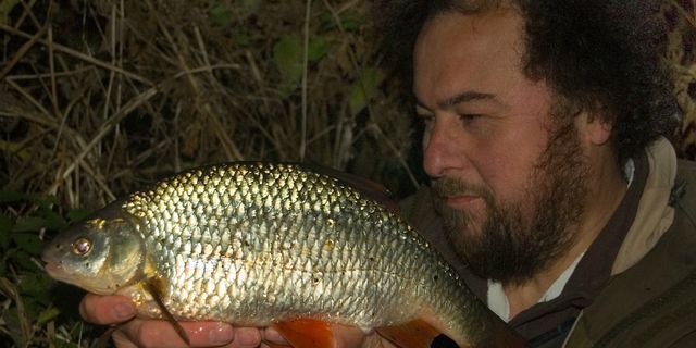 The magic of roach | Canal & River Trust