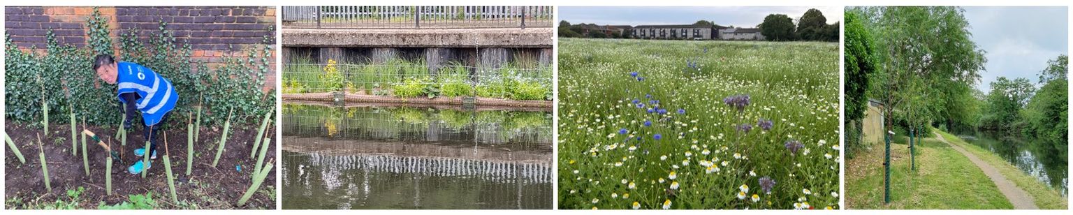 Achievements and progress | Canal & River Trust