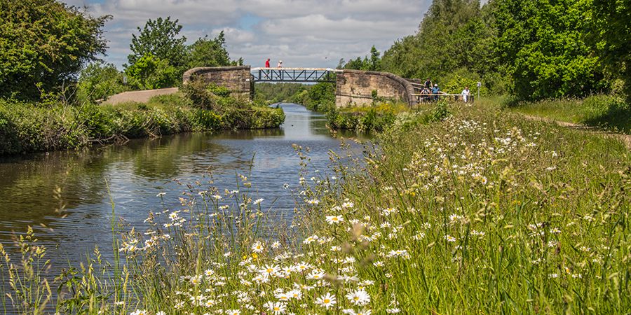 Mowing less, growing more | Canal & River Trust