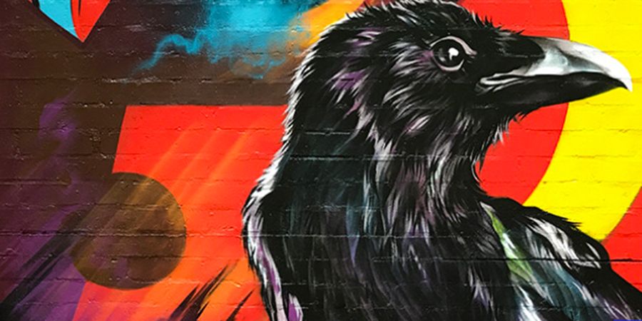 Super Slow Way | Canal & River Trust