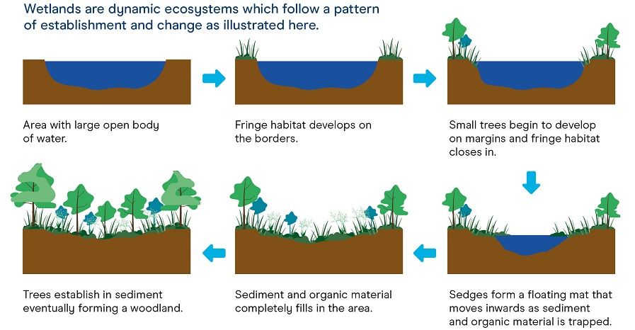Future management | Canal & River Trust