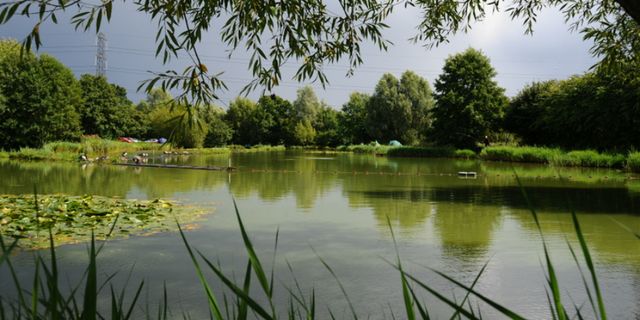 Blythe Waters | Where to fish