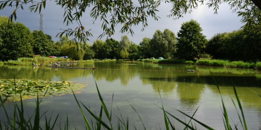 Blythe Waters | Where to fish
