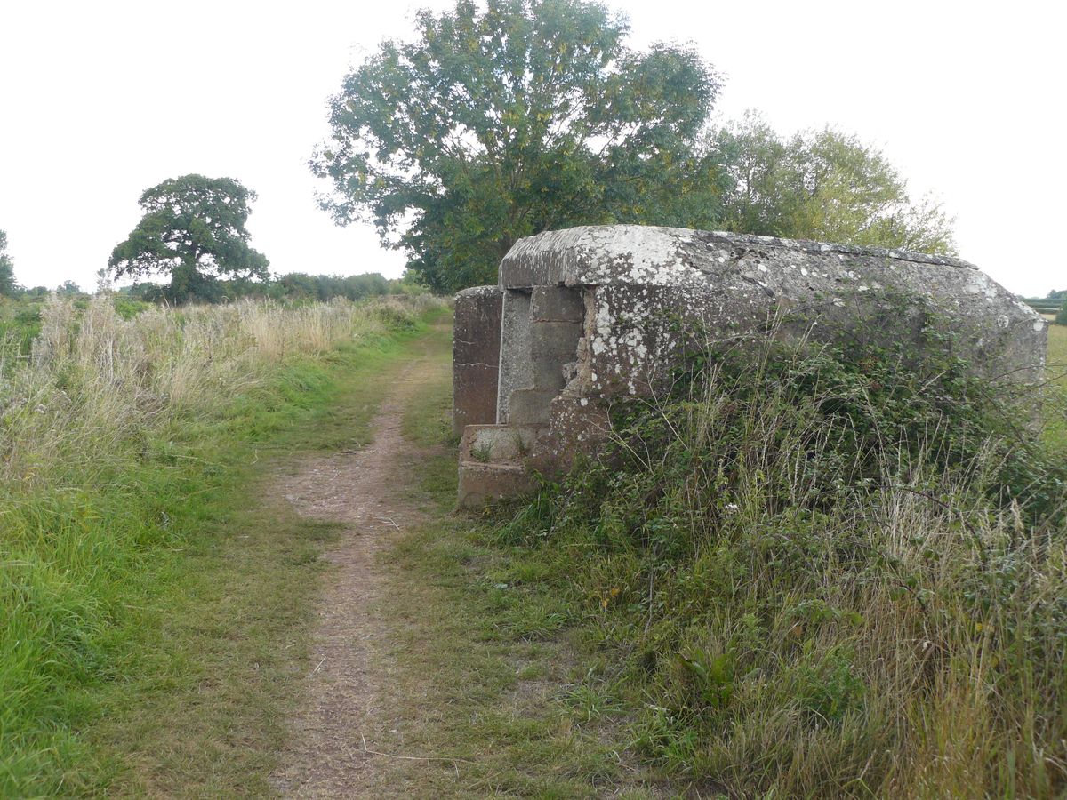 Scrubland | Habitats | Canal & River Trust