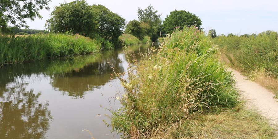 Two-mile walk at Fradley | Canal & River Trust
