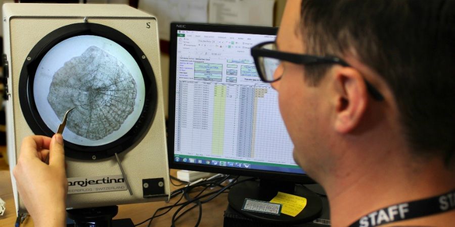 Guide to fish health | How to tell the age of a fish