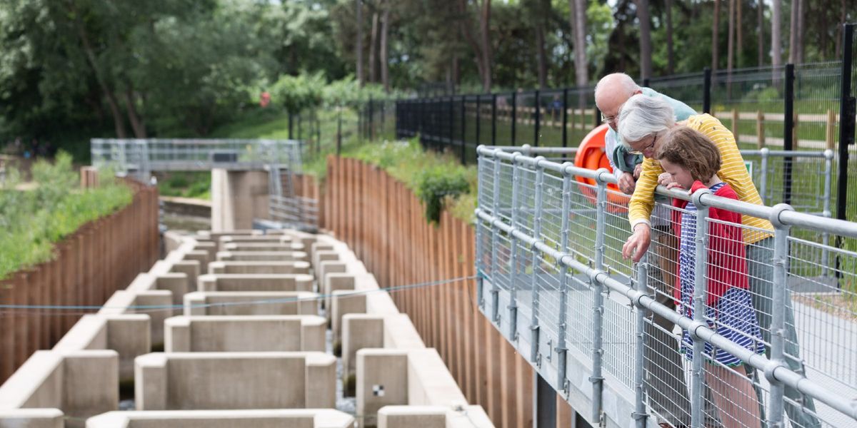 Diglis Island and Fish Pass Tour | Canal & River Trust