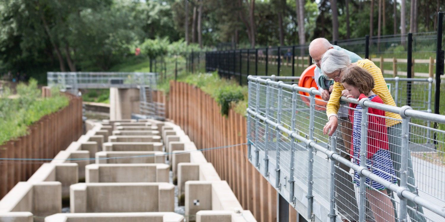 Diglis Island Fish Pass | Canal & River Trust