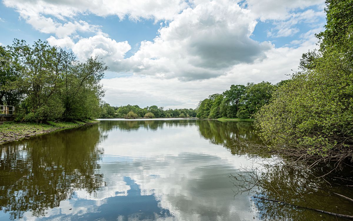 We're inviting interest in Solihull fishery | Canal & River Trust