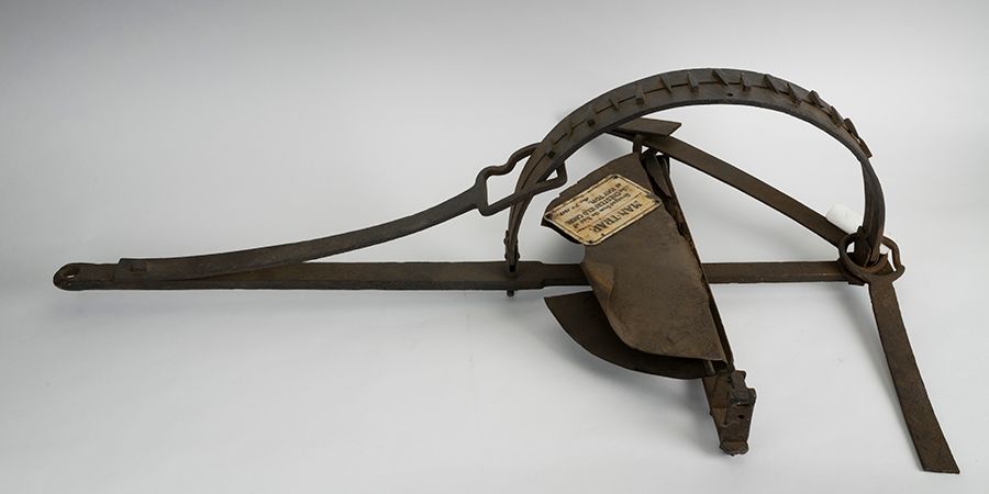 Reconnecting Day | Restoration