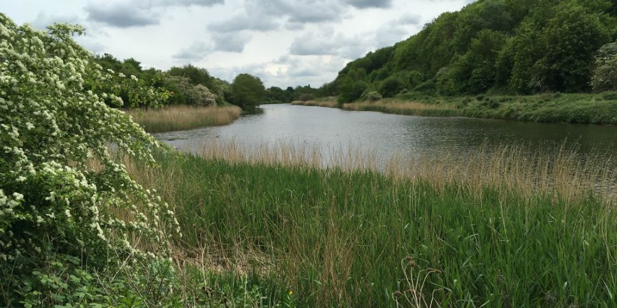 Vale Royal Locks virtual walk | Canal & River Trust