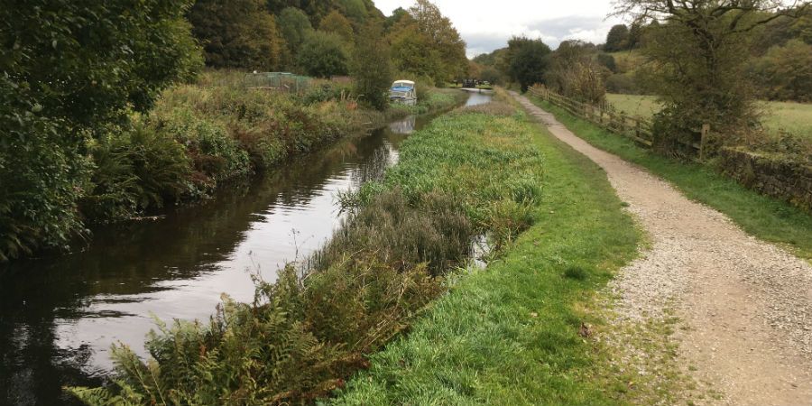 Aquatic (channel) vegetation | Canal & River Trust