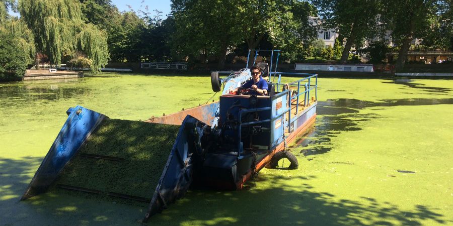 The ‘London Weed Project’ | Canal & River Trust