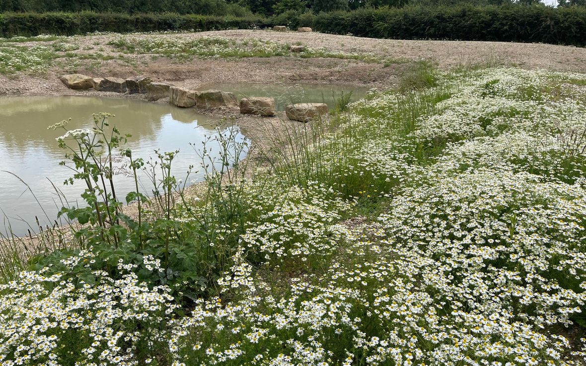 Achievements and progress | Canal & River Trust