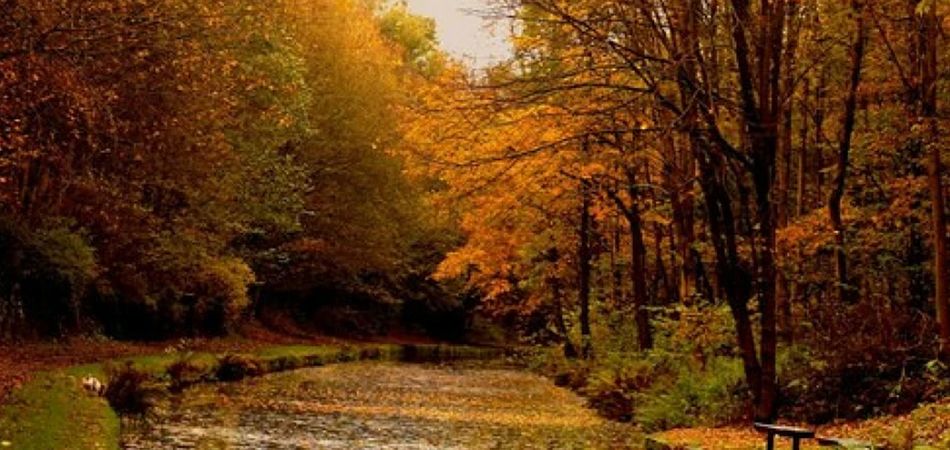 Understanding the Science of Scenic Beauty | Canal & River Trust