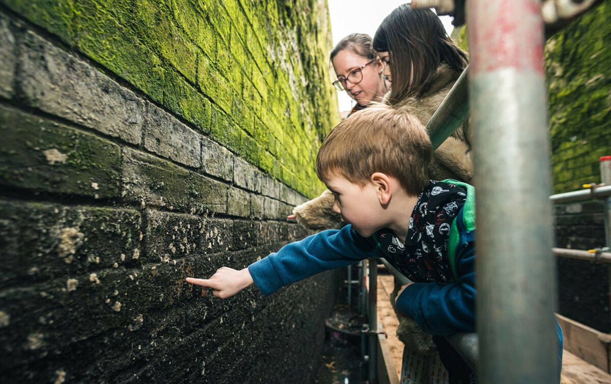 New lock gates in Wolverhampton as part of vital conservation work ...