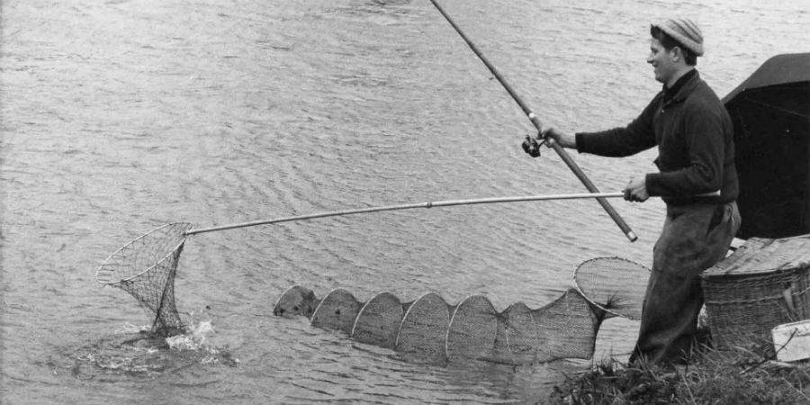 Waggler heroes | Ivan Marks: all round star quality