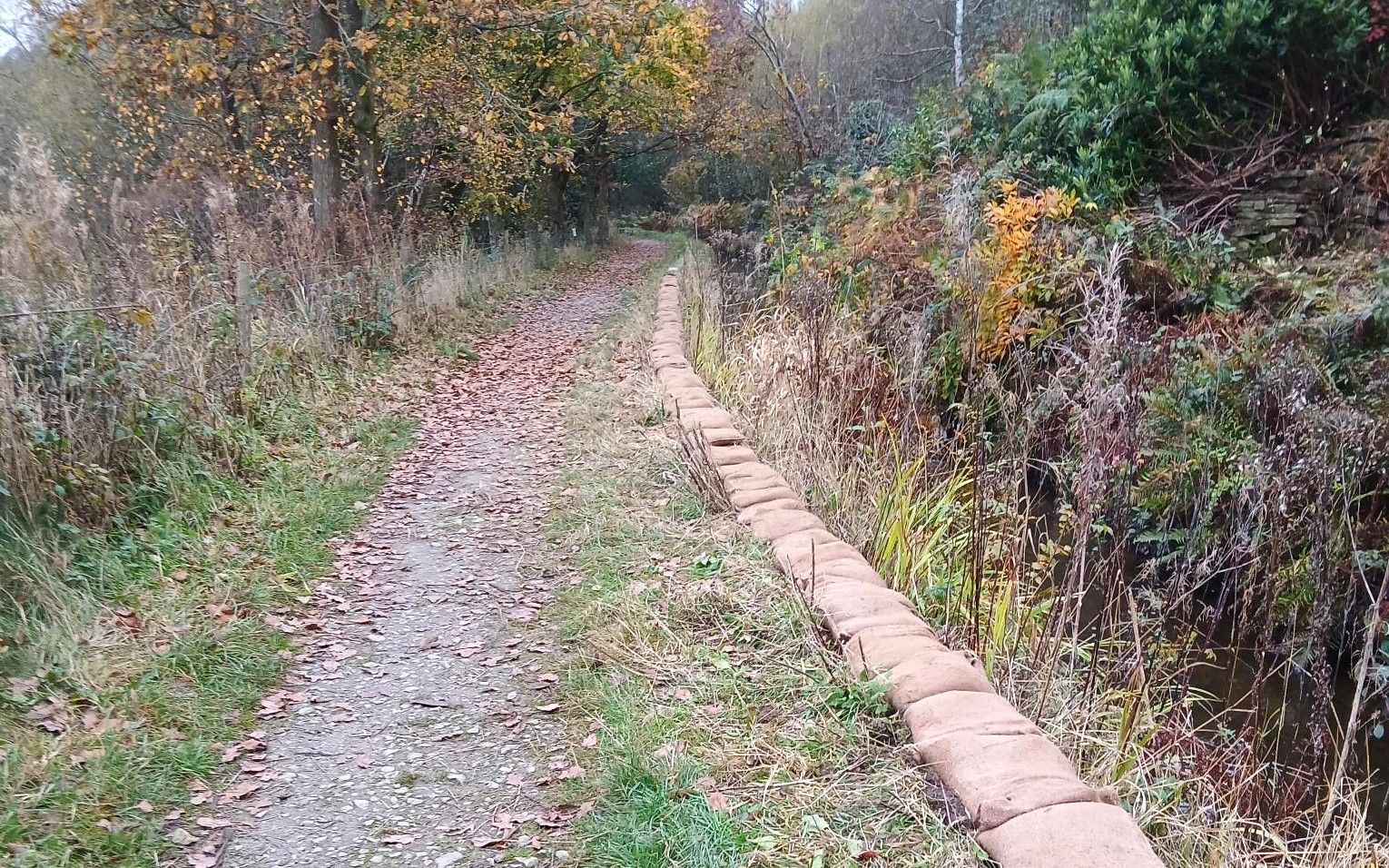 Restoring Toddbrook Reservoir | What's happening in the North West