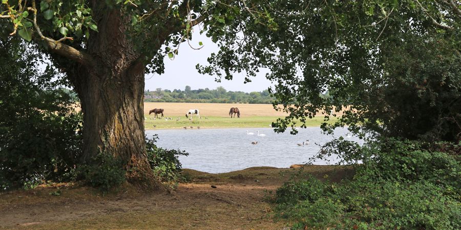 Circular walk in Oxford | Canal & River Trust