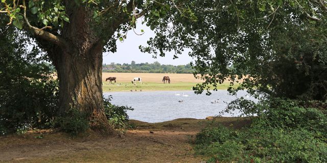 Circular walk in Oxford | Canal & River Trust