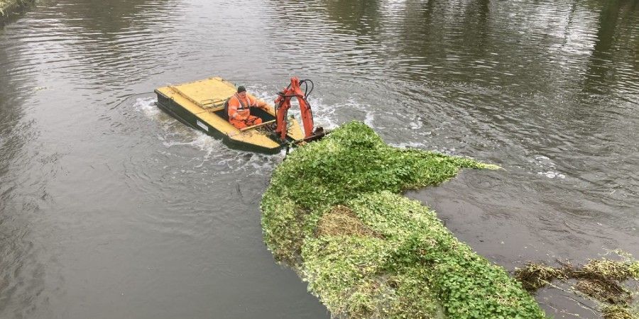 Removing floating pennywort from the River Soar | Canal & River Trust