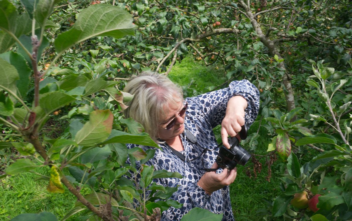 Diglis Island's Secrets Experience | Canal & River Trust