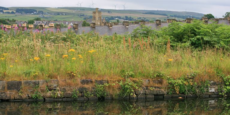 Canal walk in Burnley | Canal & River Trust