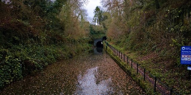 Shrewley Cutting SSSI | Canal & River Trust