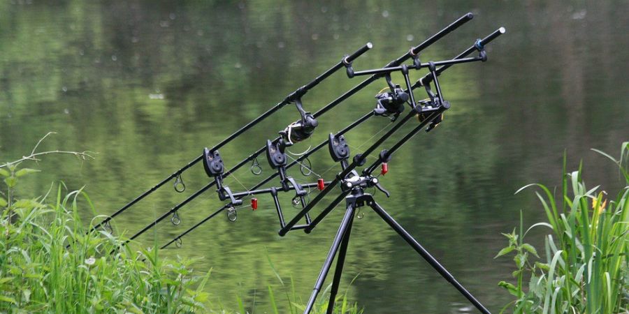 Rod licences and fishing permits | Canal & River Trust